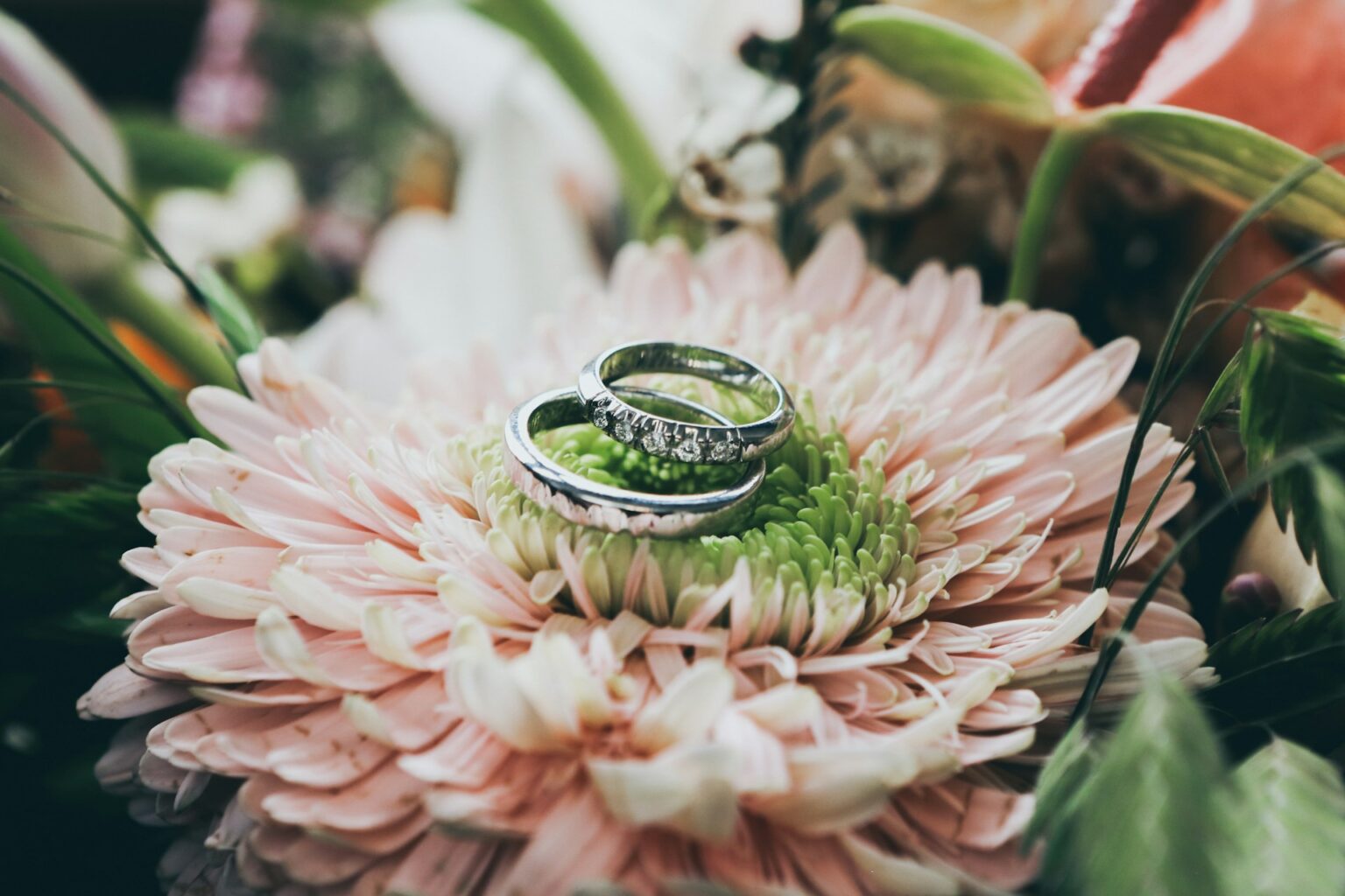 How to find bride for marriage? - Marriage World